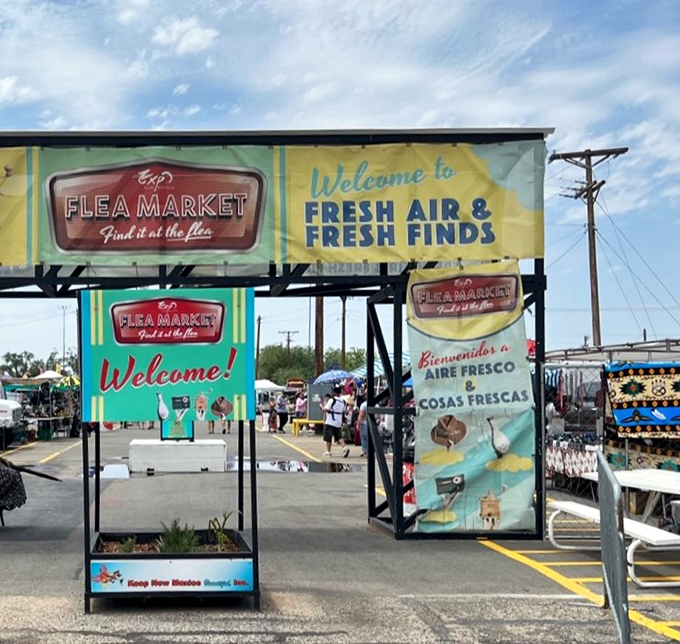 Fresh air and fresh finds - the perfect combination for a weekend treasure hunting adventure.