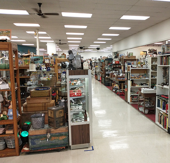 Clean aisles, bright lights, and treasures as far as the eye can see. This is what happens when organization meets antiquing passion.
