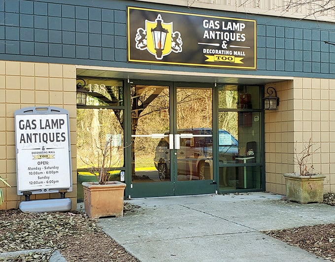 Professional presentation meets vintage passion - where serious collectors and casual browsers find common ground perfectly.