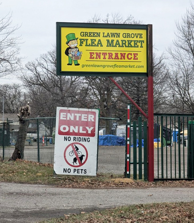 Indoor flea market bliss where fluorescent lights reveal treasures hiding in every cardboard box and corner.