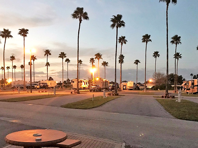 Palm-lined paradise where tropical dreams meet Texas reality in the most delightful way possible.