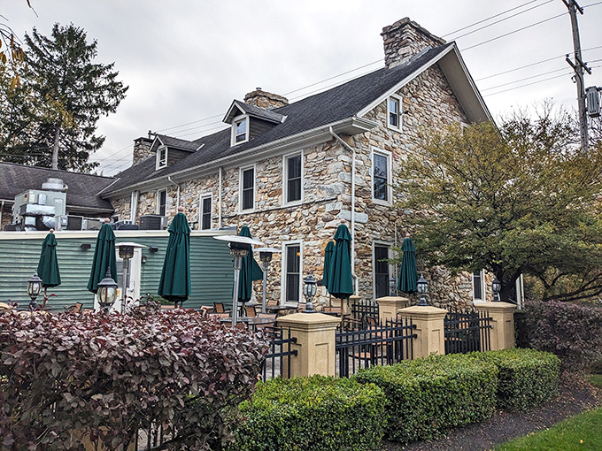 The outdoor patio whispers promises of lazy afternoons and perfectly grilled comfort food classics.