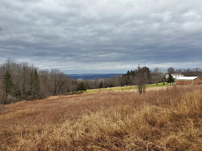 Ilion's Main Street feels like stepping into a Norman Rockwell painting, complete with small-town warmth and character.