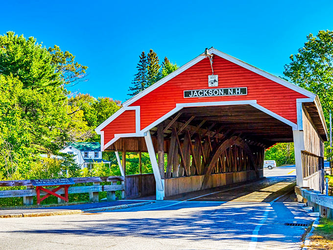Here's where Mother Nature shows off her green carpet skills, rolling out endless forest beneath dramatic mountain backdrops.
