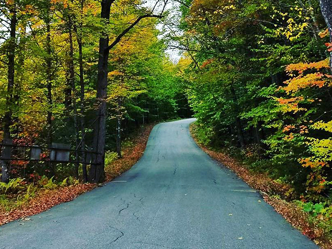 Fall in Jackson paints the perfect backdrop for a Sunday drive that might accidentally turn into a life-changing move.