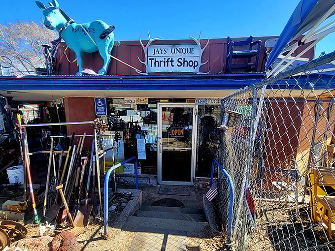 Jay's entrance looks like the gateway to a curiosity museum. That blue donkey has seen some things, and now you will too!