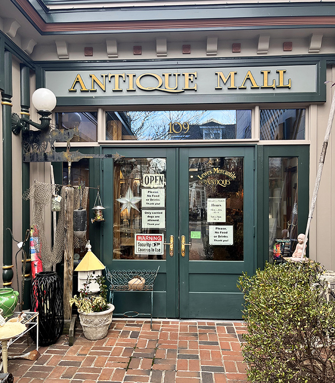 The elegant storefront of Lewes Mercantile Antiques stands ready to transport you to a world where every object tells a story.