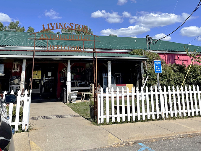 Sunshine highlights the welcoming entrance&mdash;like your eccentric aunt's house, if she collected everything wonderful since 1920.