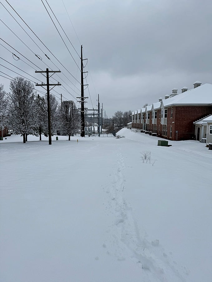 Winter wonderlands prove that cozy apartment living beats shoveling driveways every single time.