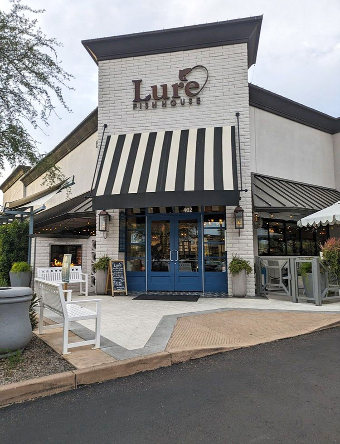 Clean lines and coastal charm invite you into Lure's world of sustainable seafood delights and ocean-fresh flavors.