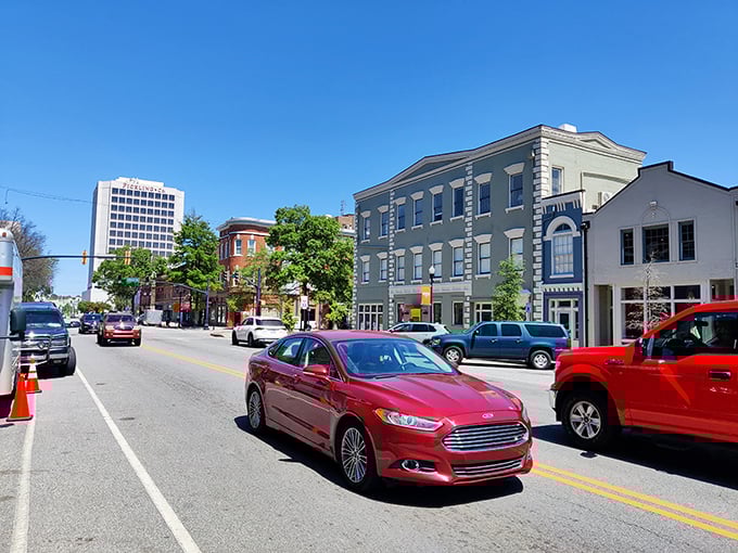 Main Street Macon rolls out the red carpet of Southern hospitality, complete with tree-lined sidewalks and friendly faces.