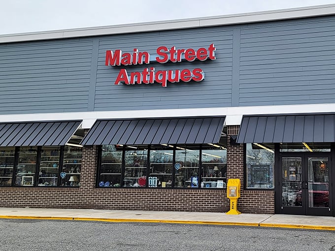 Sometimes the best treasures hide behind the most unassuming facades, just waiting for curious shoppers to discover them.