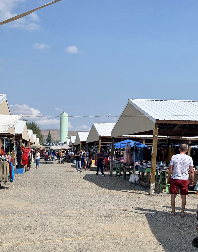 Rural charm meets retail therapy where farmland views enhance every bargain-hunting adventure.