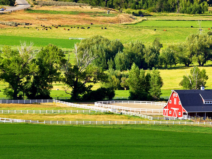 Green pastures and that classic red barn capture the Swiss-inspired charm that makes Midway feel like an Alpine postcard.