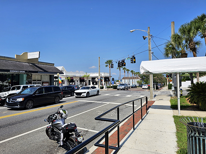 Tree-lined streets and historic buildings make Mount Dora feel like stepping into a Norman Rockwell painting come to life.