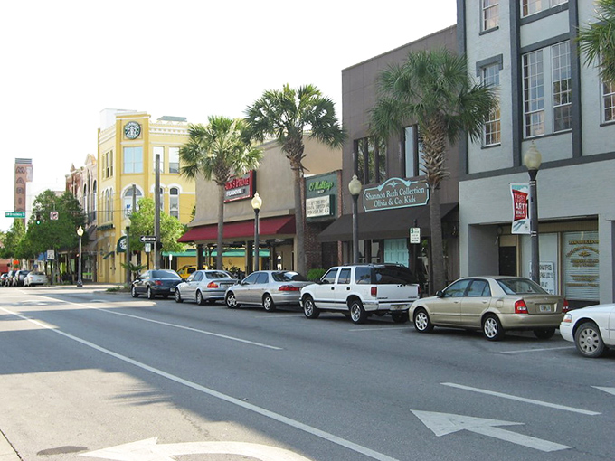 Ocala's palm-lined streets and historic buildings create postcard-perfect scenes. Your retirement budget enjoys the view without paying tourist-town prices!