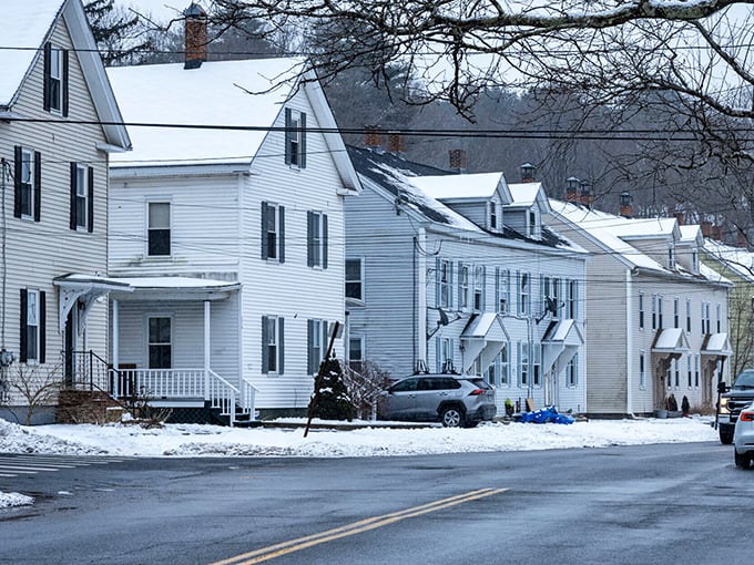Row houses wearing winter whites! Palmer's snow-dusted homes offer cozy shelter where monthly budgets breathe easier than a Thanksgiving turkey outdoors.