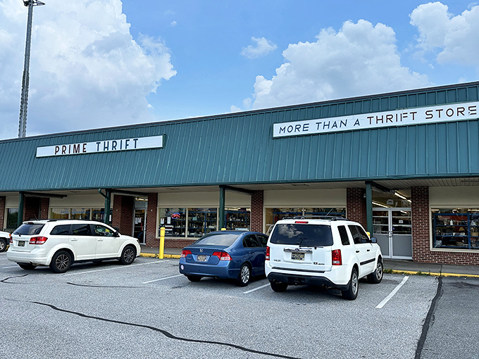 "More Than A Thrift Store" indeed&mdash;this green-topped shopping destination delivers on its bold promise.