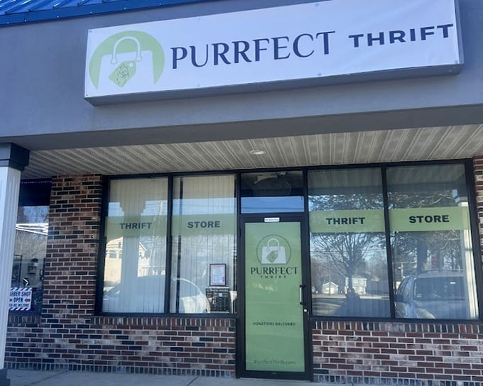 That fresh green branding promises quality finds without the guilt of overspending on your shopping adventures.