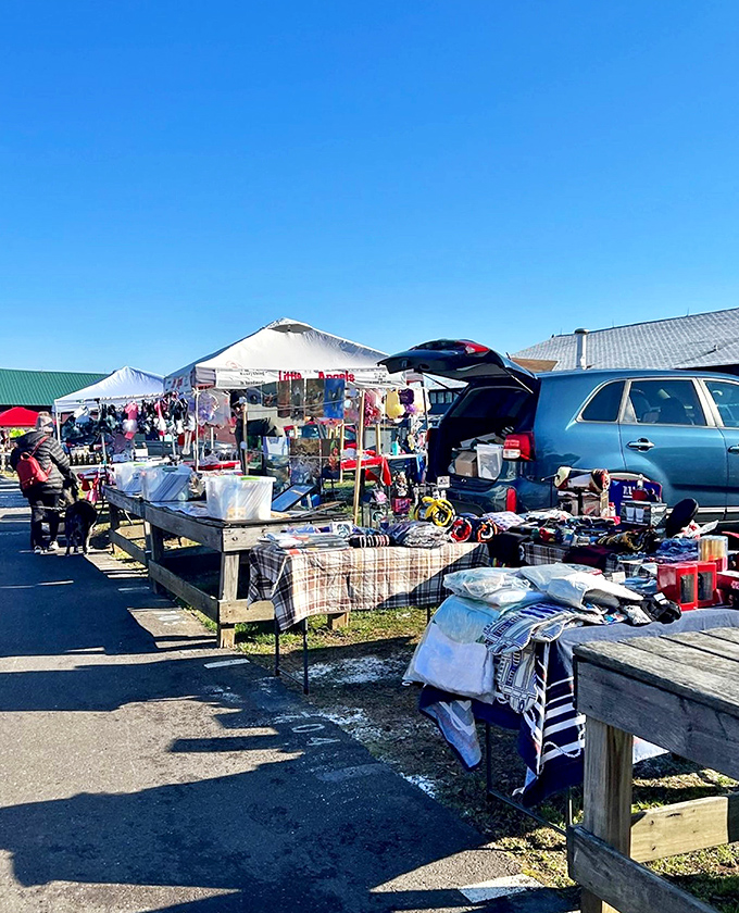 A crisp morning at Rice&rsquo;s Market brings friendly vendors, great bargains, and cheerful conversations under a clear blue sky.