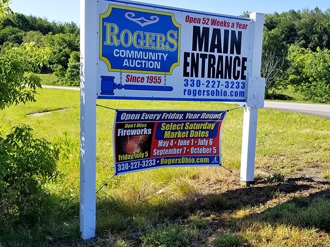 This outdoor setup proves that the best treasures often come without fancy packaging or walls.