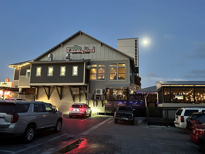 When your restaurant literally sits on the beach, every meal becomes a sandy-toed adventure story.
