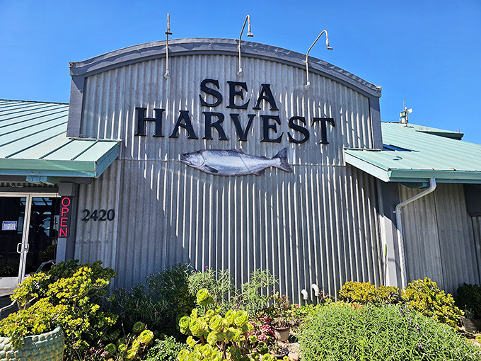 The sign says it all &ndash; "Sea Harvest" isn't just a name, it's a promise delivered daily from boat to plate at this Moss Landing treasure.