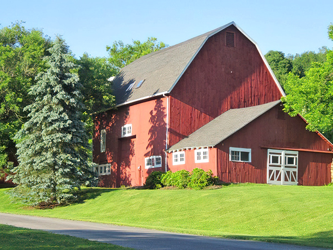 Red barn perfection that screams "I belong on a jigsaw puzzle!" Standing proud against summer's emerald canvas like Connecticut's unofficial mascot.