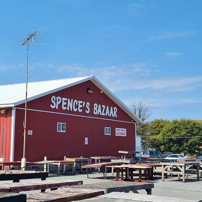 The classic red siding of Spence's stands proud against clear Delaware skies - a beacon for the bargain-obsessed.