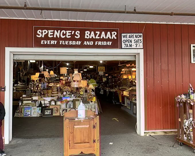 Indoor treasures overflow like grandma's attic, where every lamp tells a story worth discovering.