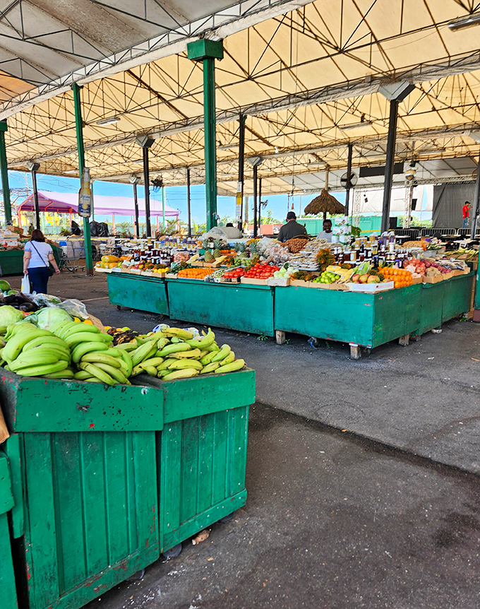 Fresh produce paradise! Swap Shop's green bins overflow with tropical bounty under a canopy of Florida sunshine.