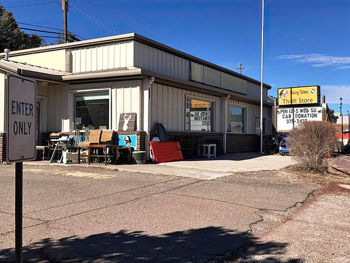 Where else can your purchase of a perfectly broken-in armchair help teach kids about eagles and owls? Only at this Cedar Crest hidden gem.