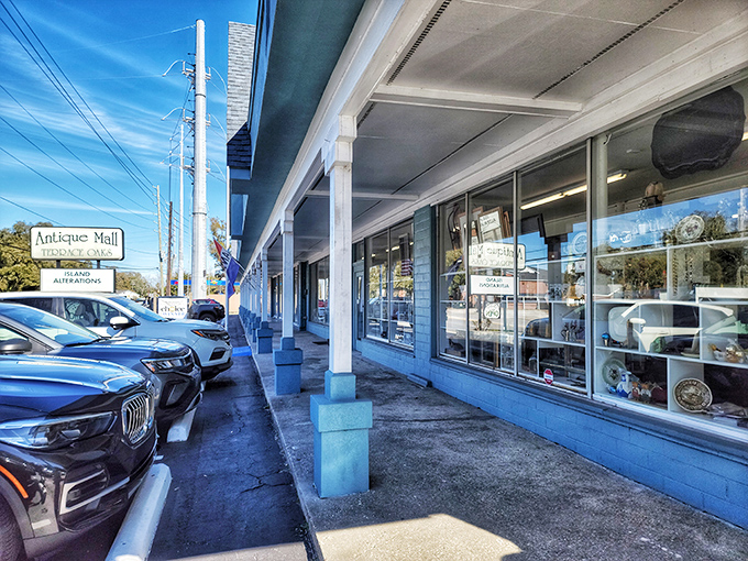 Clean lines and organized displays make treasure hunting feel like a sophisticated adventure through time's greatest hits.