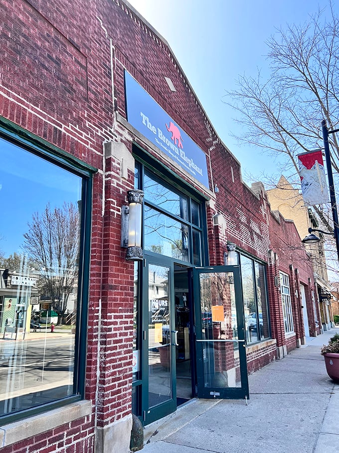 The Brown Elephant's storefront windows hint at the carefully curated treasures waiting inside this community favorite.