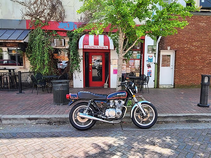 Ivy climbs the walls of this Florence gem, where Chicago-style dogs have found an unlikely but welcome Southern home.