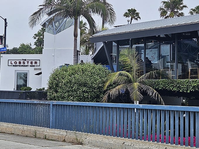This oceanfront gem proves that sometimes the best seat in the house comes with crashing waves as background music.