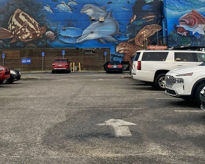 When dolphins swim on your walls, you know the kitchen takes its ocean-to-table commitment pretty seriously.