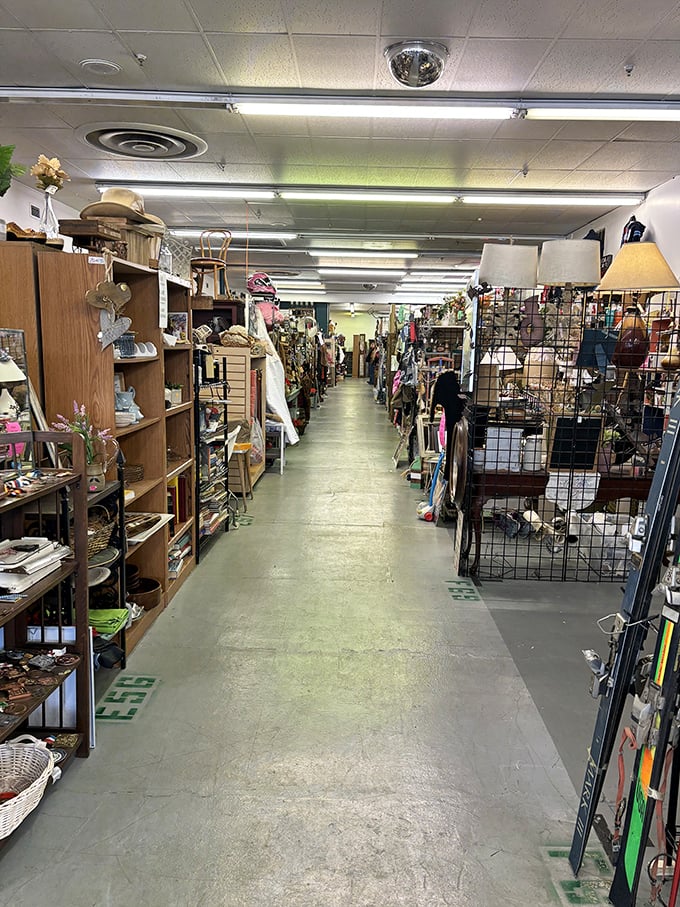Wide aisles and organized displays make treasure hunting feel less like work, more like pure joy.