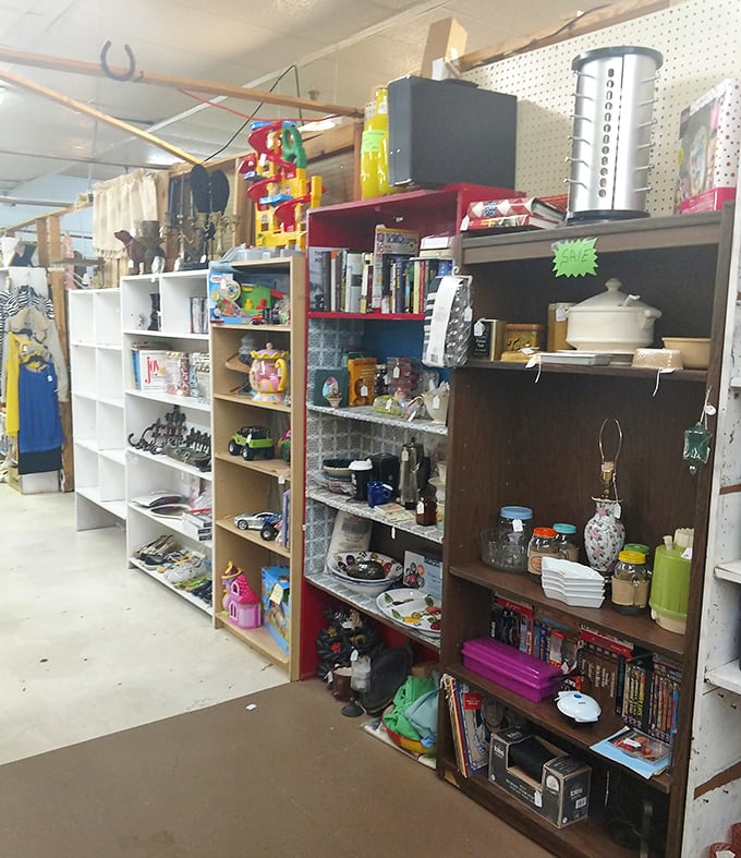 Every shelf tells a story - from vintage kitchen gadgets to forgotten books waiting for new homes.