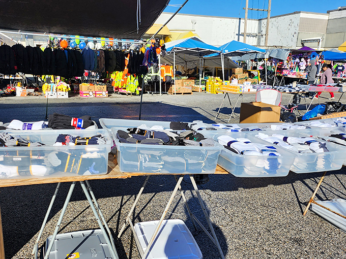 The outdoor marketplace buzzes with activity as vendors display everything from household essentials to unexpected surprises.