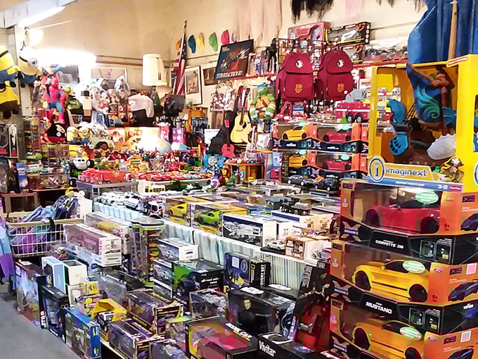 Rows of organized chaos where every aisle promises a new adventure in affordable discovery.