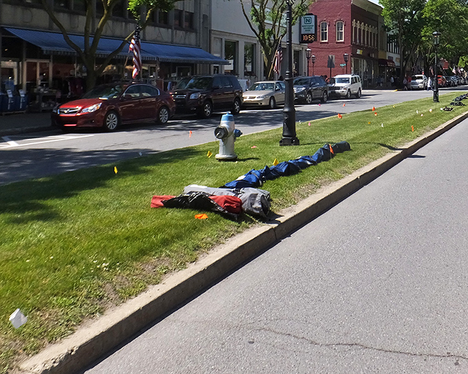 This tree-canopied sidewalk whispers "slow down" louder than any meditation app ever could.