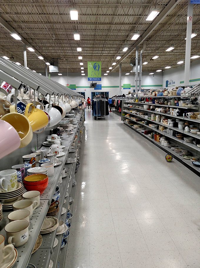 The housewares section stretches into the horizon like a ceramic sea, where someone's discarded teacup becomes another's perfect morning companion.