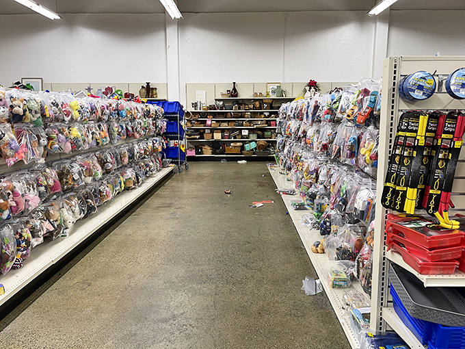 Bagged toys line the shelves like colorful promises, each plastic bundle potentially holding that elusive LEGO piece your collection desperately needs.