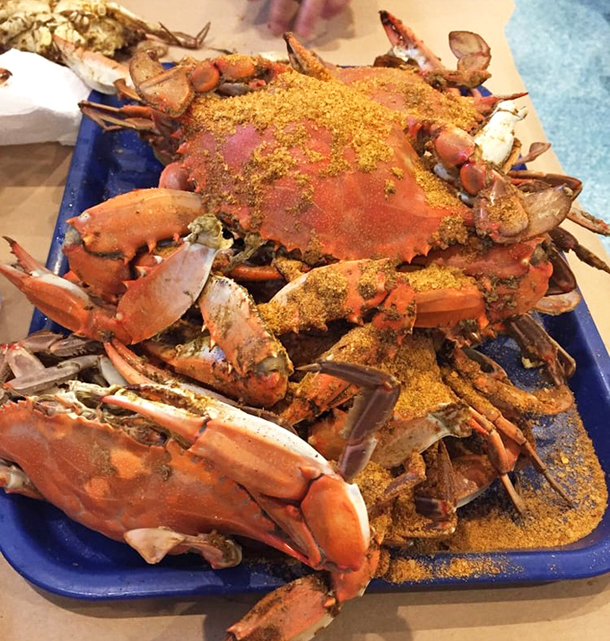 Maryland blue crabs, generously dusted with Old Bay, await their destiny. This isn't just dinner&mdash;it's a delicious puzzle that rewards persistence.