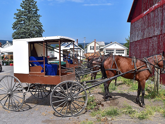 Horse-drawn transportation isn't a tourist attraction here&mdash;it's Tuesday. This working buggy represents centuries of practical tradition still alive today.