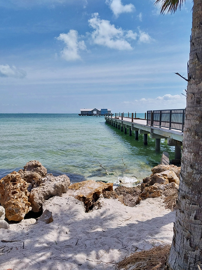 The Rod & Reel Pier stretches into Tampa Bay, offering both fantastic fishing spots and the perfect backdrop for those "Look where I live now!" retirement selfies.