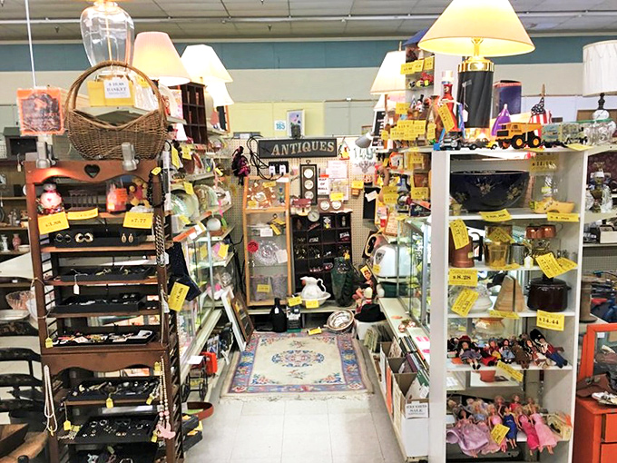 Treasures stacked with military precision. If Marie Kondo visited, she'd either have a meltdown or find her true calling among the organized chaos.