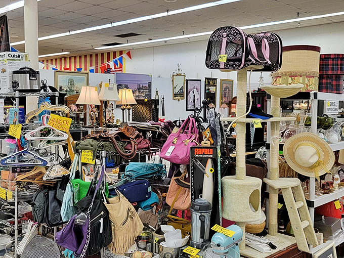Organized chaos at its finest&mdash;this vendor's collection of handbags, pet supplies, and home goods creates a "where's Waldo" of potential purchases.