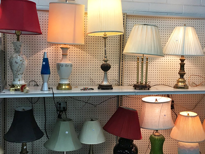 Lamp lineup that would make any interior designer swoon&mdash;from mid-century modern to "grandma chic" all on one shelf.